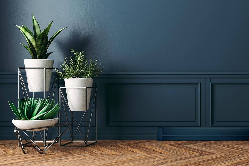 More Answers to Your Burning Questions about Baseboarders®